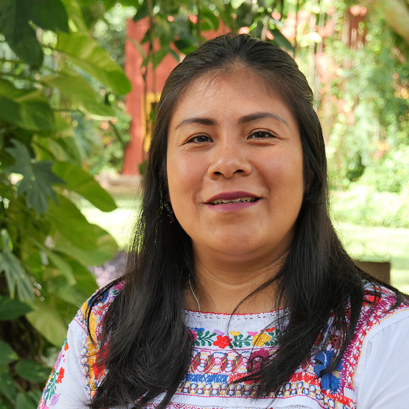 Our Team - International Funders for Indigenous Peoples