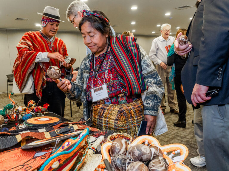 Supporting Indigenous Representation - International Funders for ...