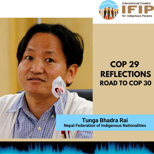 IFIP at COP29 Reflection and Way Forward to Secure the Rights of the Indigenous Peoples for ...